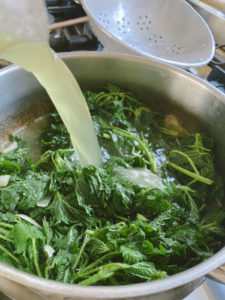 Foraged Nettle Soup – The Londoner
