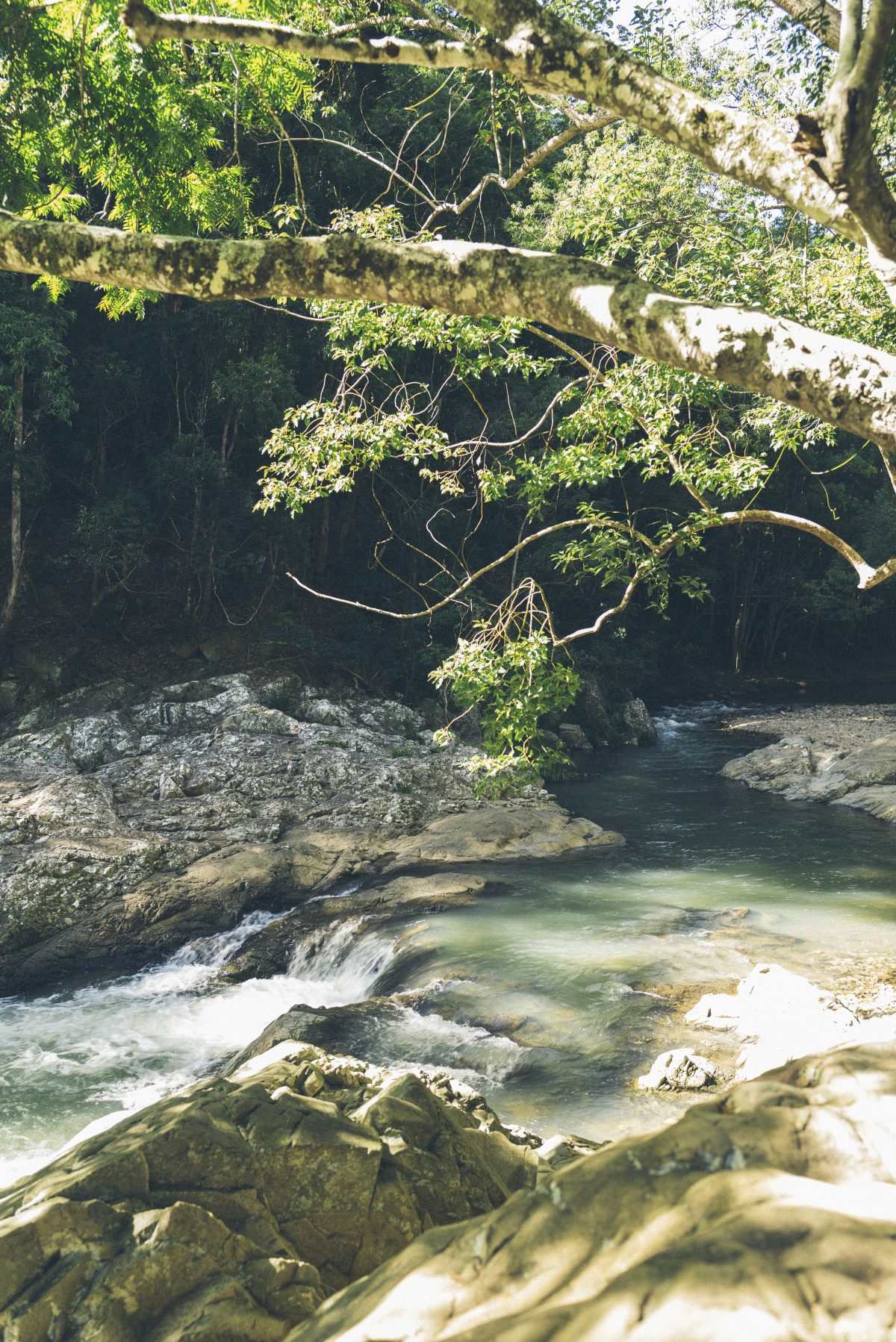 Currumbin Rock Pools - The Londoner